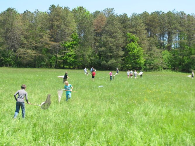 3 PM: Gallery: Students Take Part In 52nd Annual Conservation Field ...